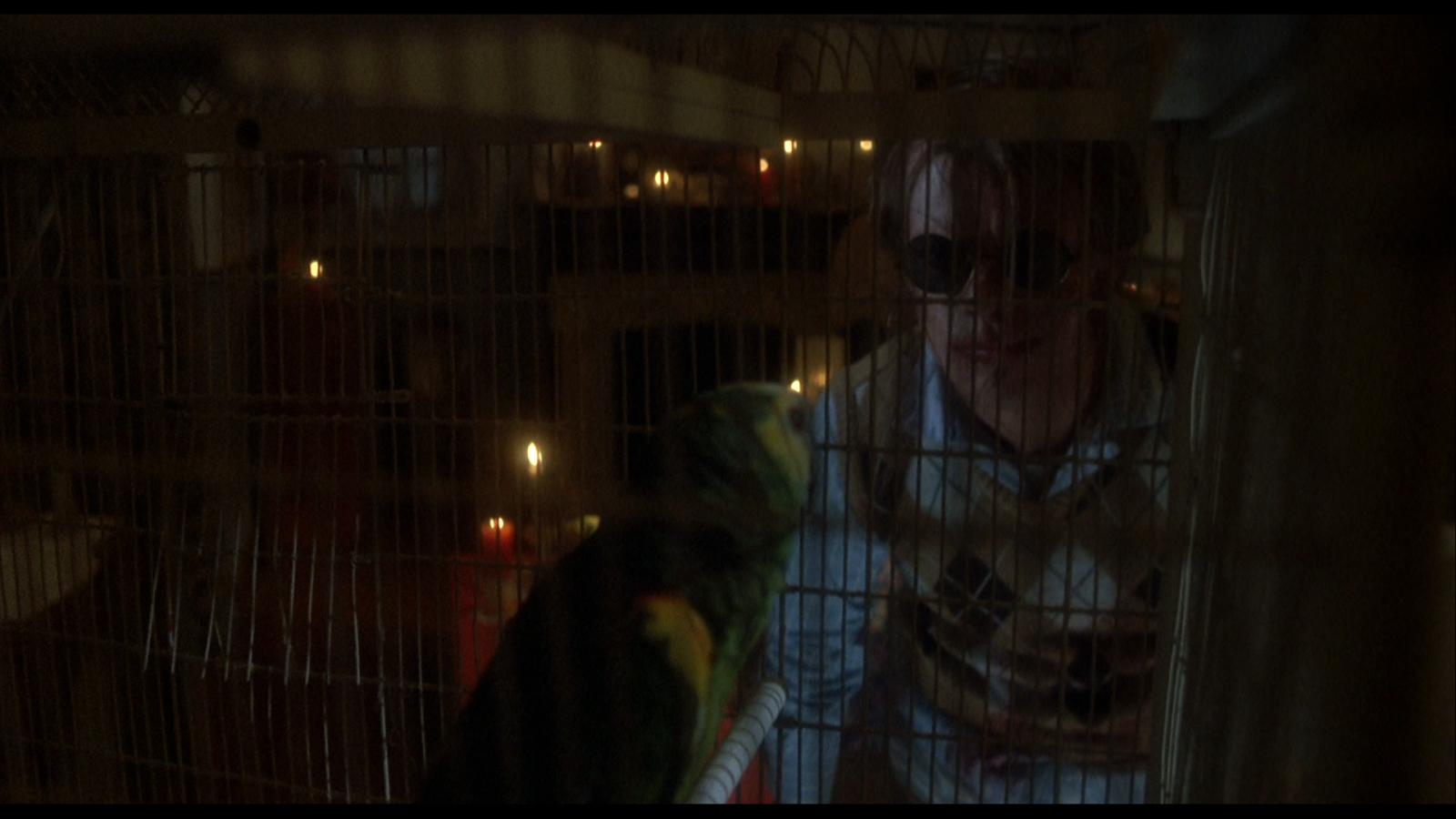 Don't Bother Calling This Number. It's A Dead End! 976-Evil Blu-ray ...