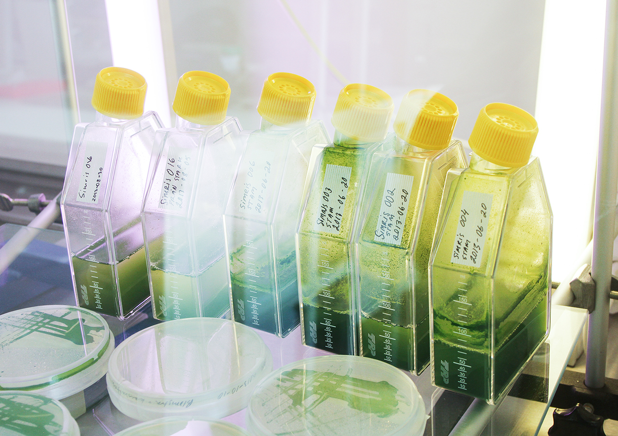 Simris – Packaging Of The World