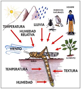 Desarrollo Sustentable: 7. Factores limitativos.