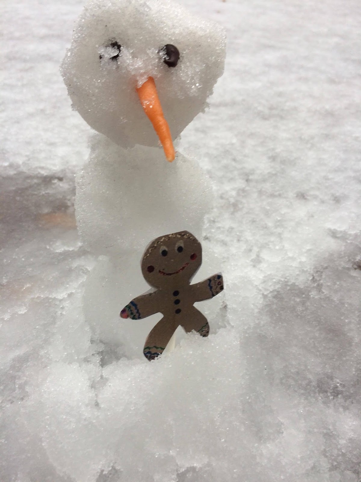 Sand Castles and Snow Forts: The Gingerbread Man Adventures!