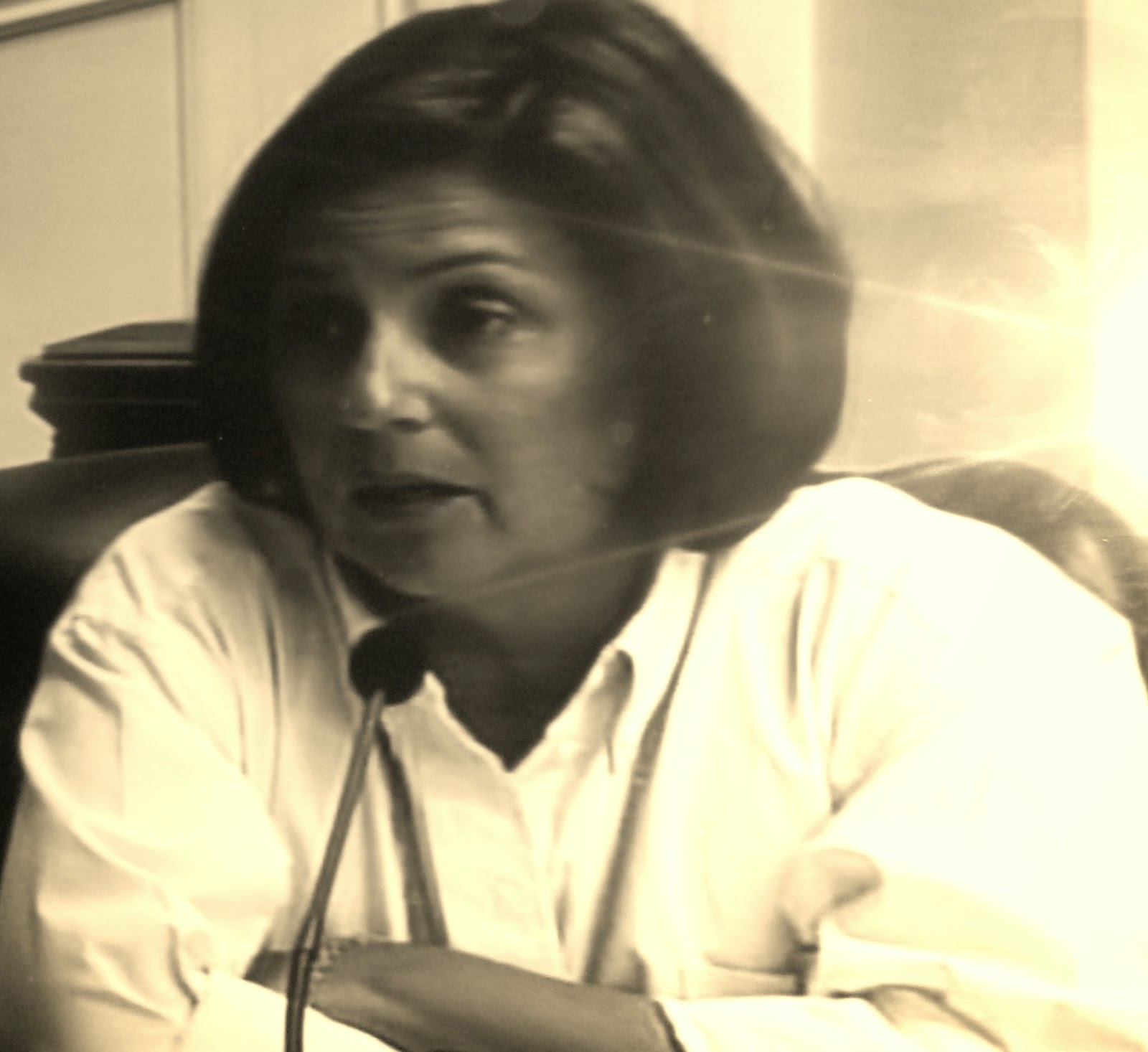 The Brownsville Observer: Rose Gowen Pulls Out All the Political Stops ...