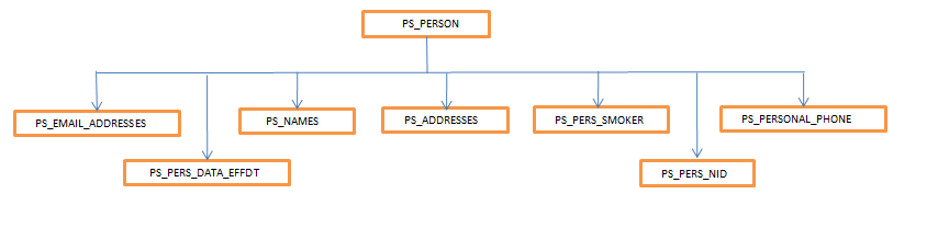 PeopleSoft: PeopleSoft 9.1 Person Model