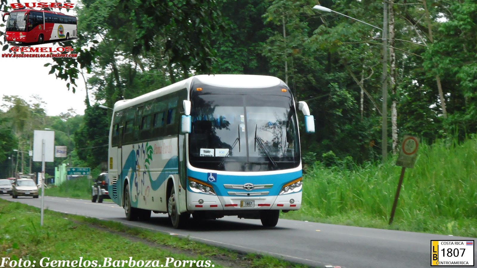 Buses Gemelos: GALERIA VARIADA