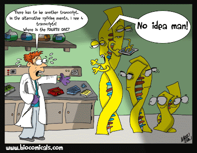 Biocomicals: Alternative splicing problem