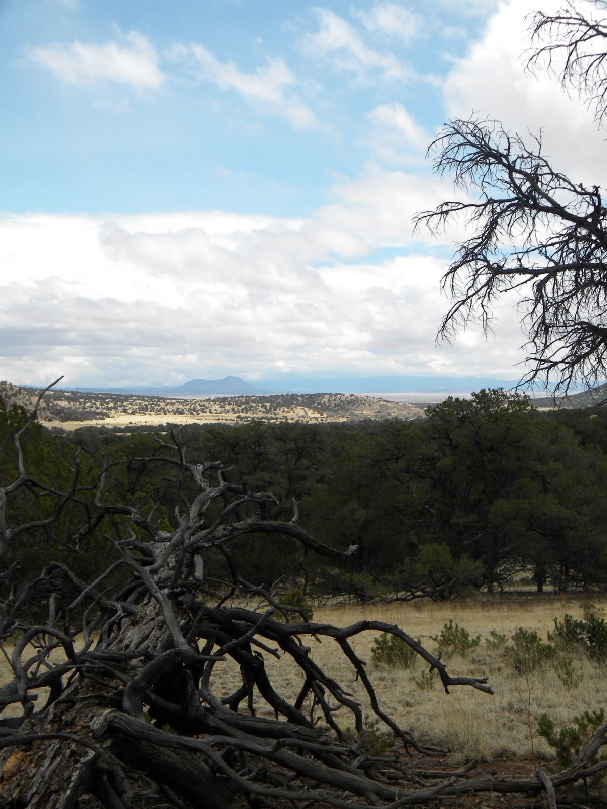 Datil Nm Elevation at Caitlyn Lavater blog