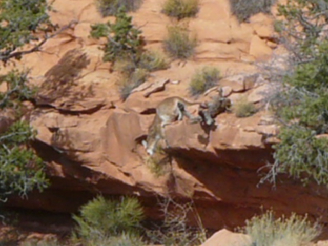 Hiking the Great American Southwest: Moki Steps, Petroglyphs ...