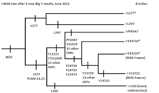 I-P37.2 haplogroup research: New I-M26 tree after 5 Big Ys for M26 ...