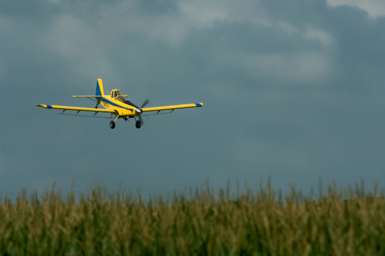 Bailey's Buddy: Flying 100 mph, a few feet above a corn crop! - Photos ...