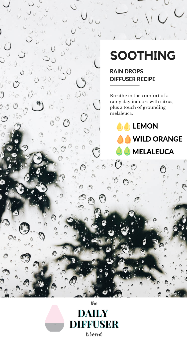 Rain Drops Diffuser Blend Recipe | The Daily Diffuser Blend