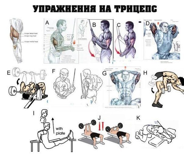 Biggrow Упражнения на все группы мышц верхней части тела