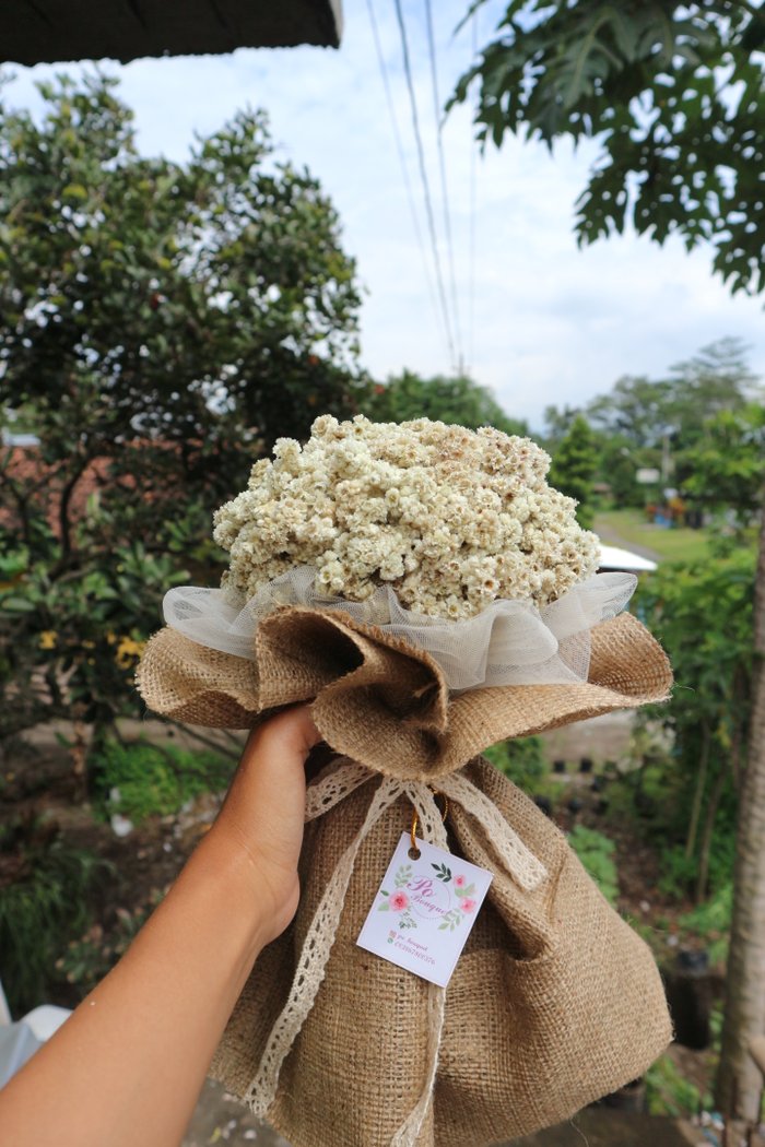 Buket Bunga Edelweis Medium Plus - Bunga Edelweis Gift & Souvenir Shop