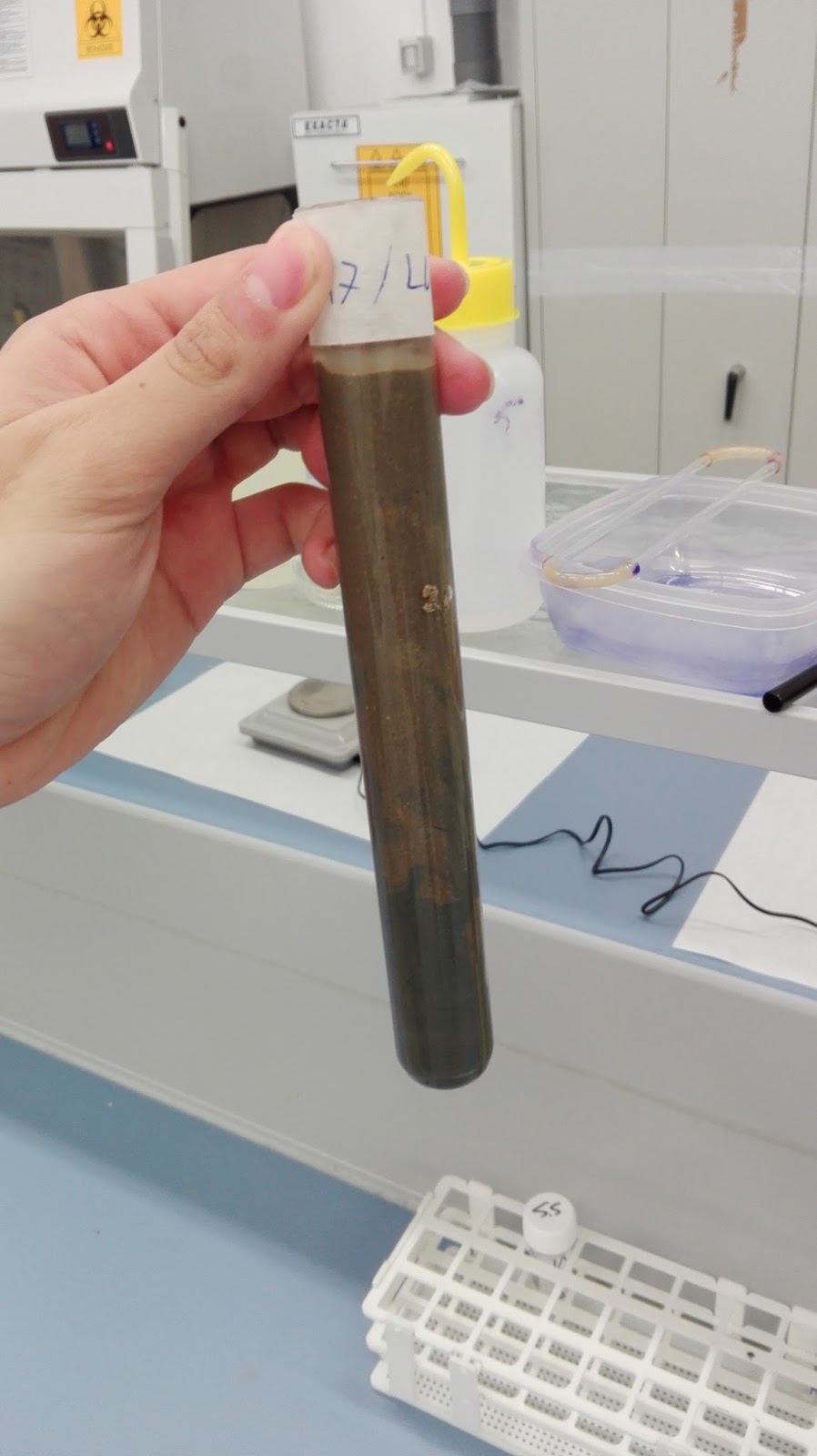 Winoblog: UCA_5A-6A-7A_1: Day 0 – Starting Winogradsky Column’s project!