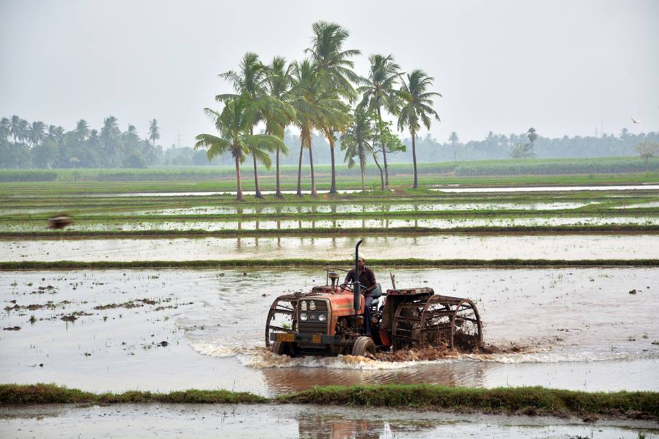 PEDDAPURAM VISESAALU - పెద్దాపురం చరిత్ర: Kattamuru A Beautiful Village ...