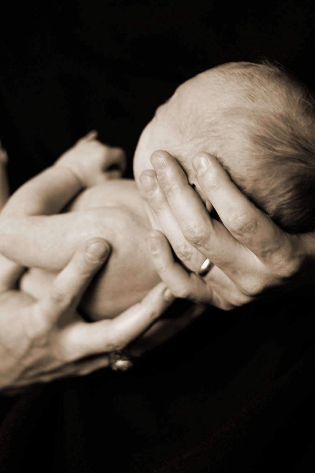 Gilbreath Garden: Daddy's Hands