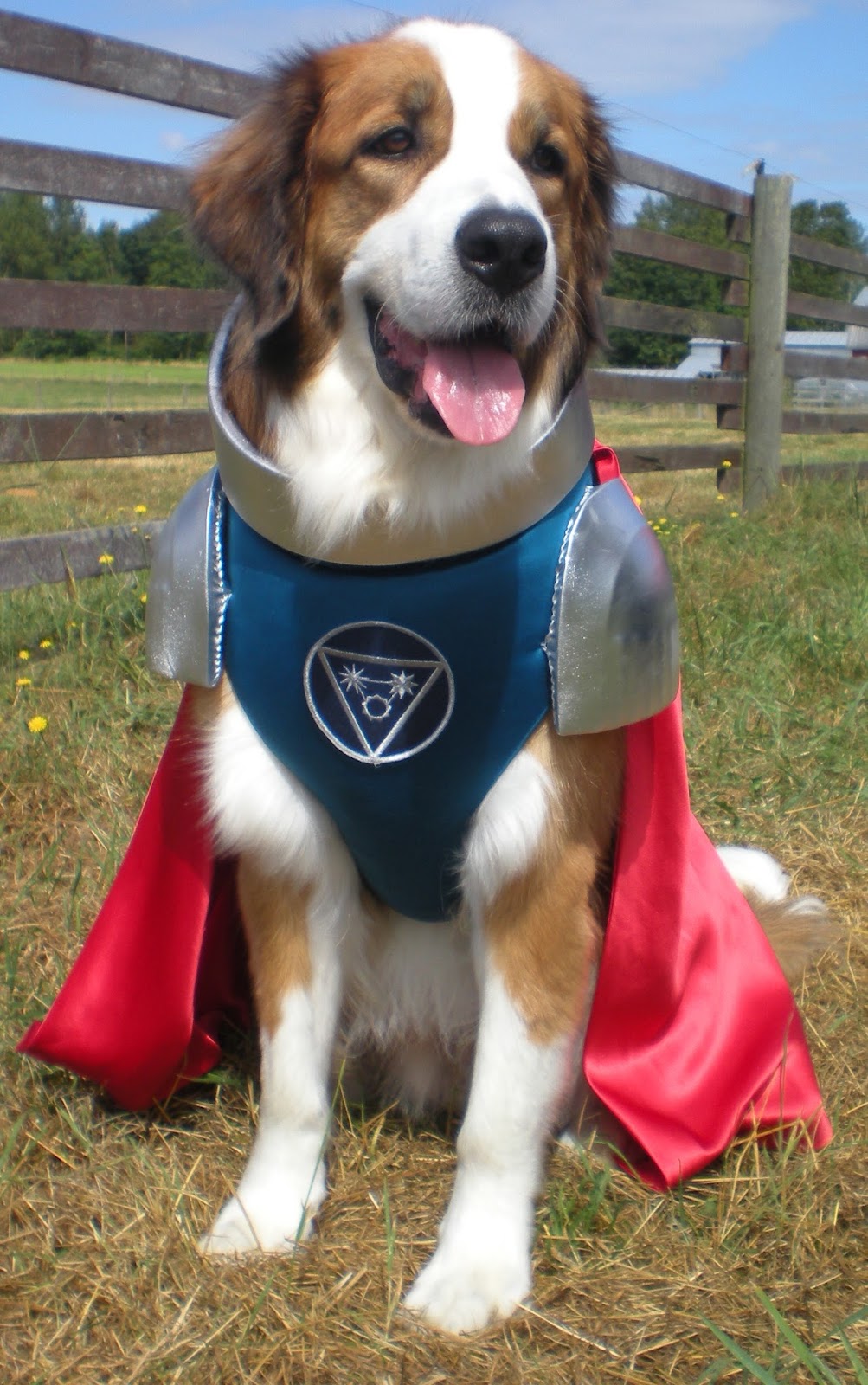 Tales From The Mouse House: Super Buddies To The Rescue!