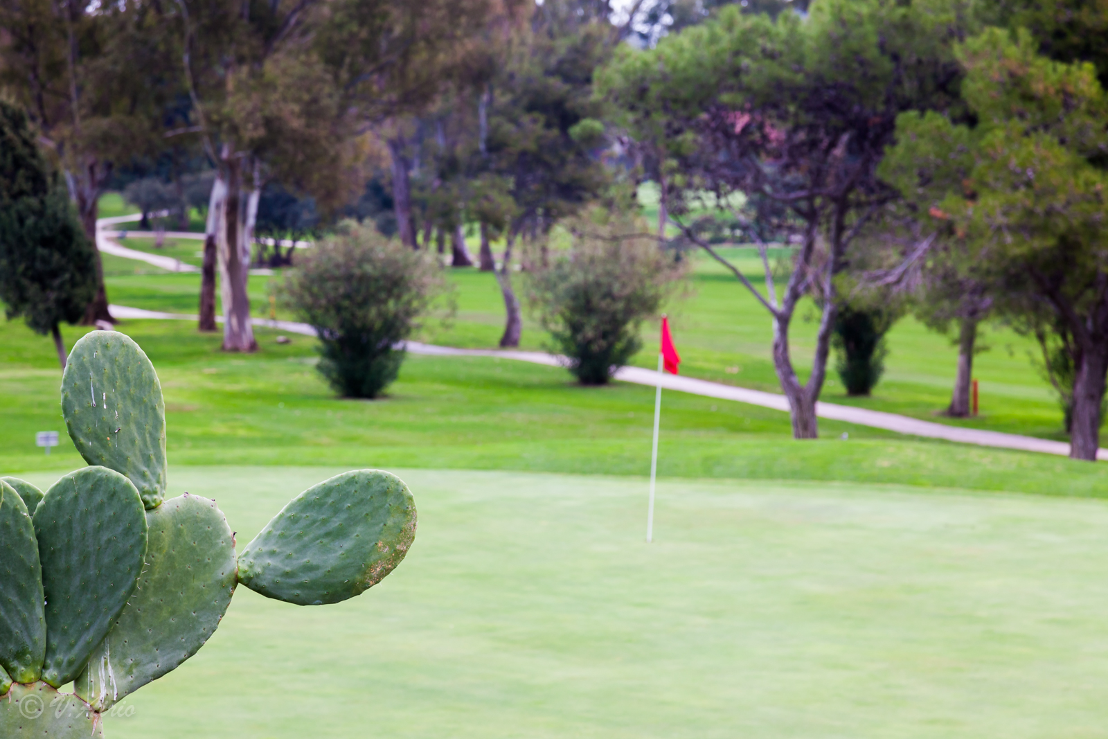 Elämää pallon ympärillä: Atalaya Old Course, Costa del Sol