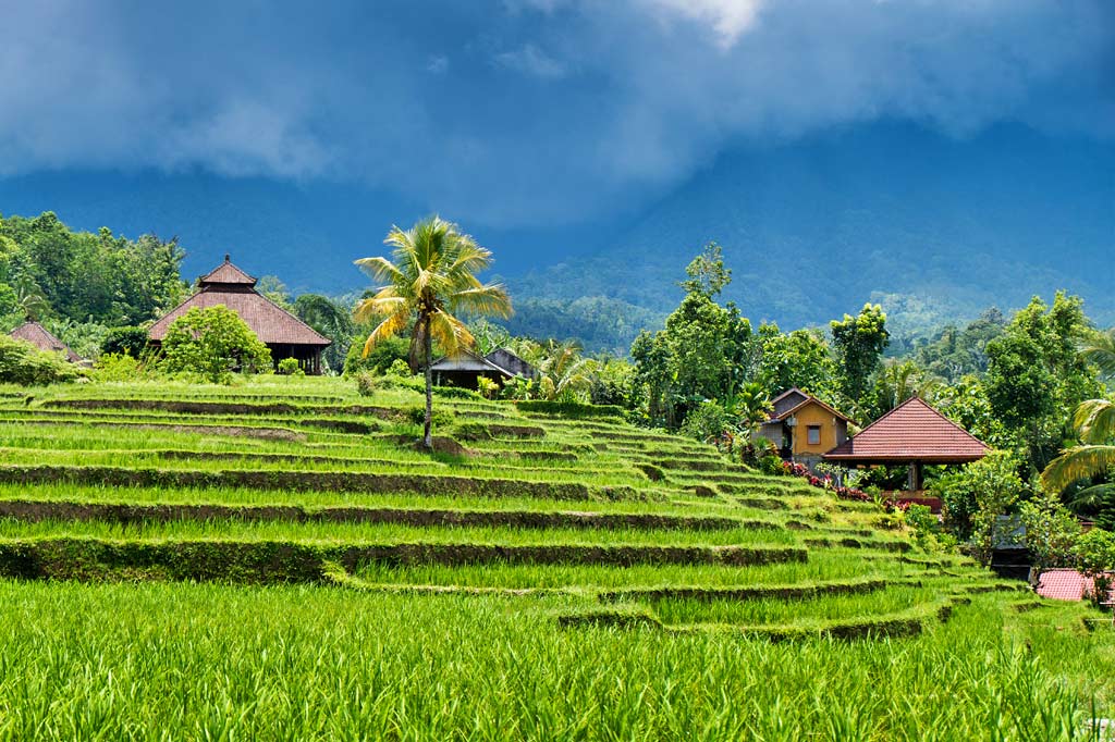 UN MUNDO POR CONOCER: UBUD- ISLA BALI