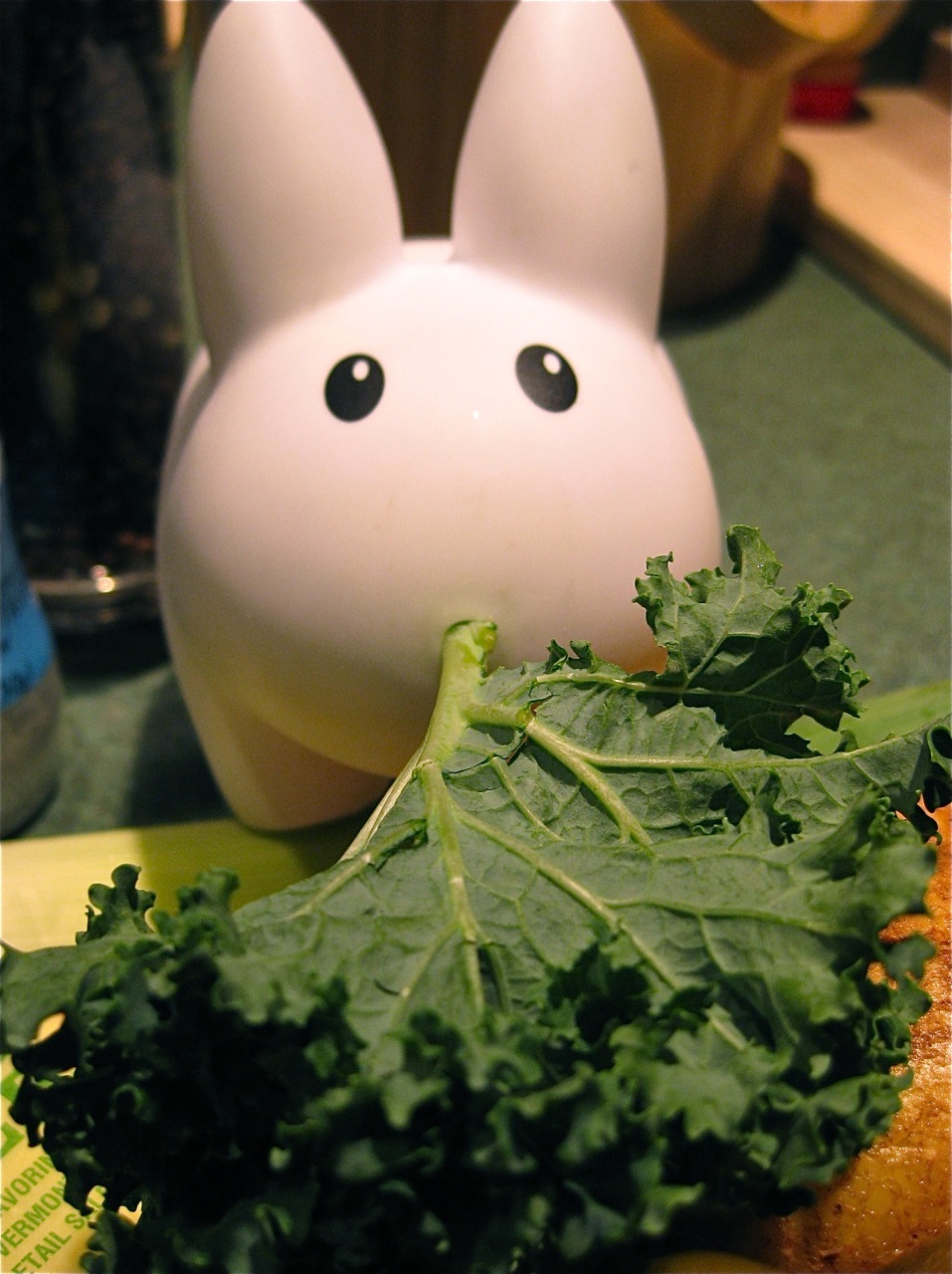 Year of the Labbit: December 2011