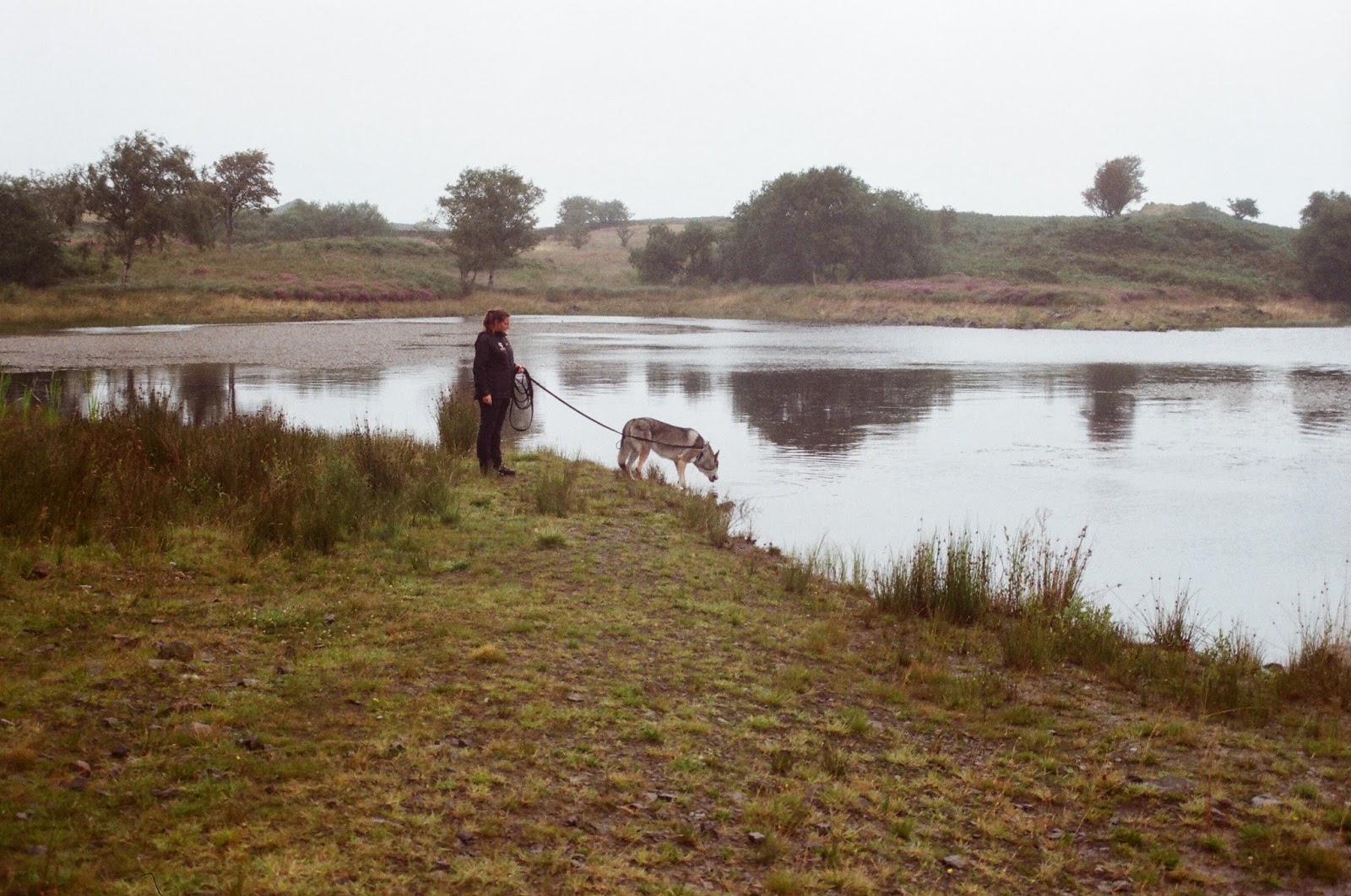 Freddie Patmore: Walking With Wolves In The Lake District
