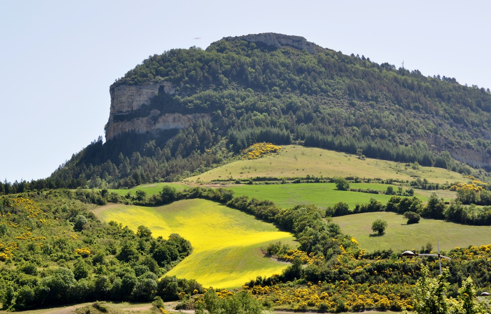Our House in Provence, the Most Beautiful Region of France: A Visit to ...
