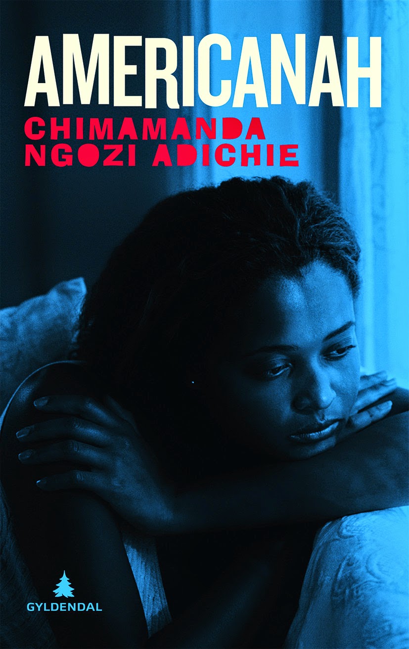 Reading Randi: Tanker om bok - Chimamanda Ngozi Adichie: Americanah