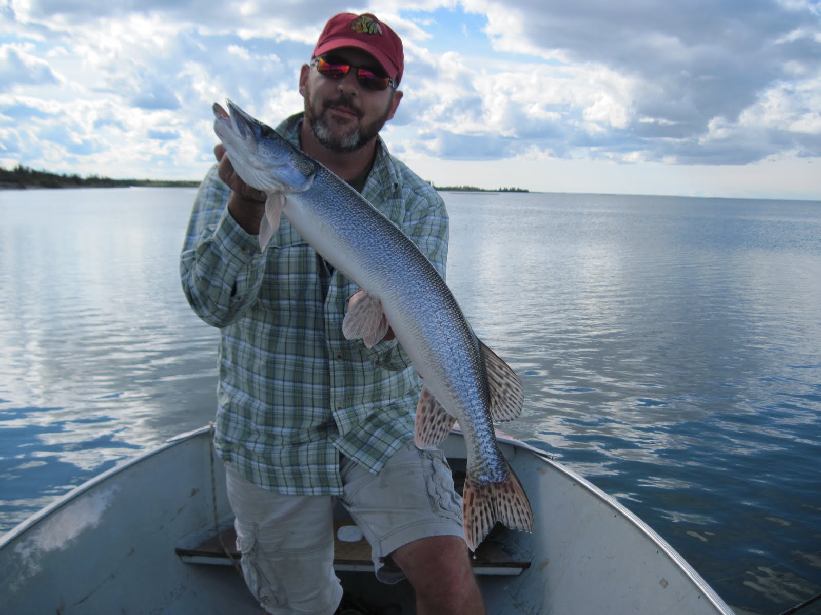 Taltson Bay Big Pike Lodge: August 20-26. The Great Slave Mafia Report