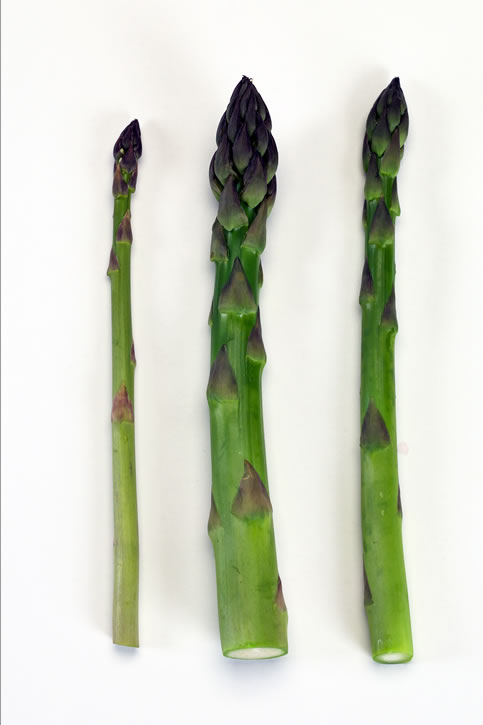 Xtremehorticulture of the Desert: Most Asparagus Varieties Grow Well in ...