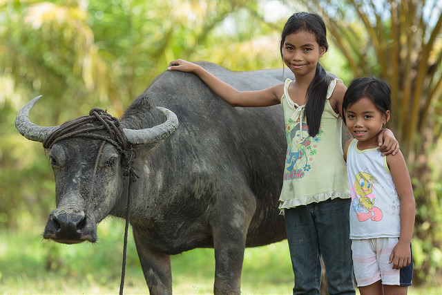 Love That Max : One simply amazing way to teach kids about giving