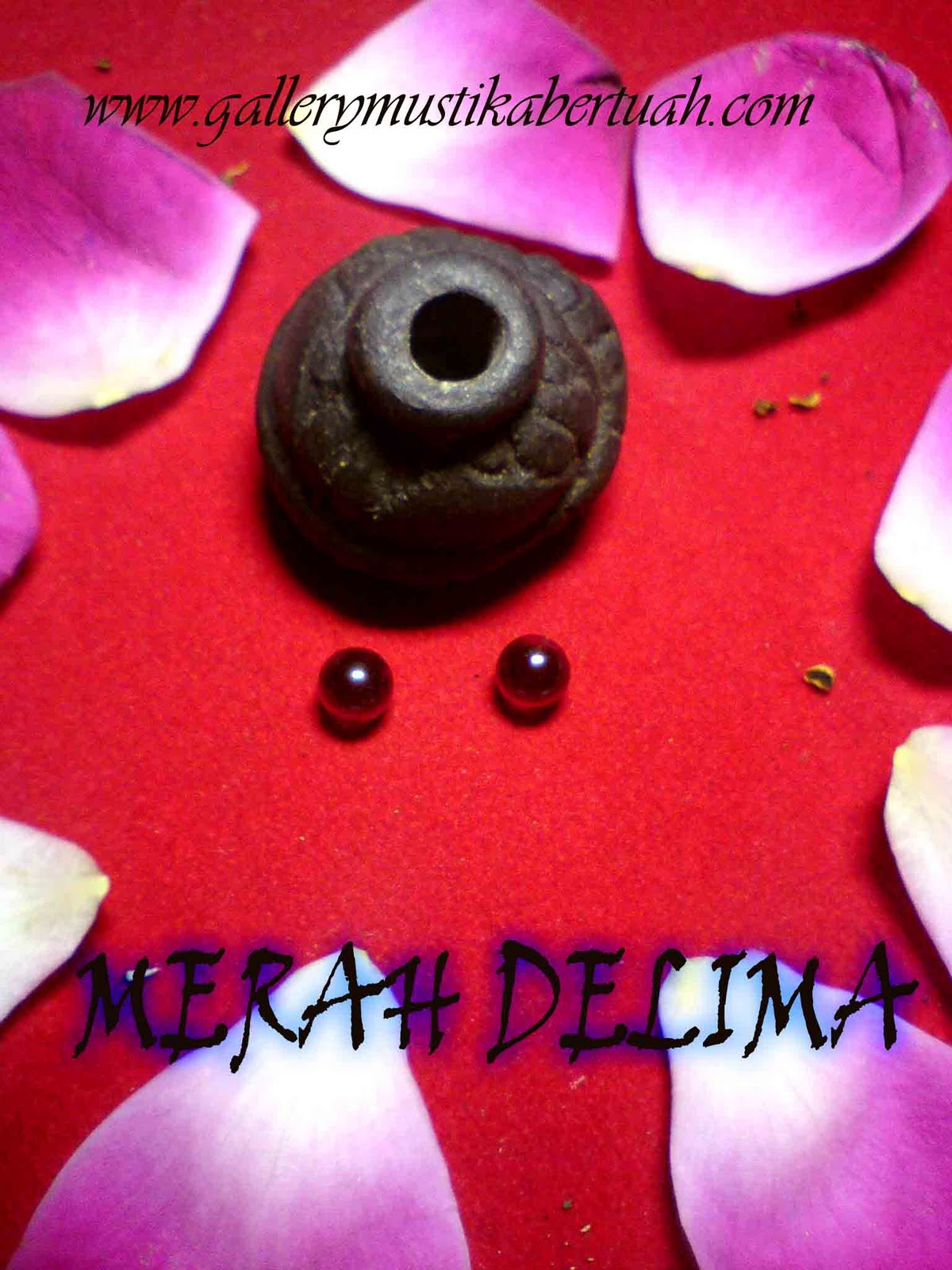 MUSTIKA MERAH DELIMA ~ Mistik Tanah Jawa