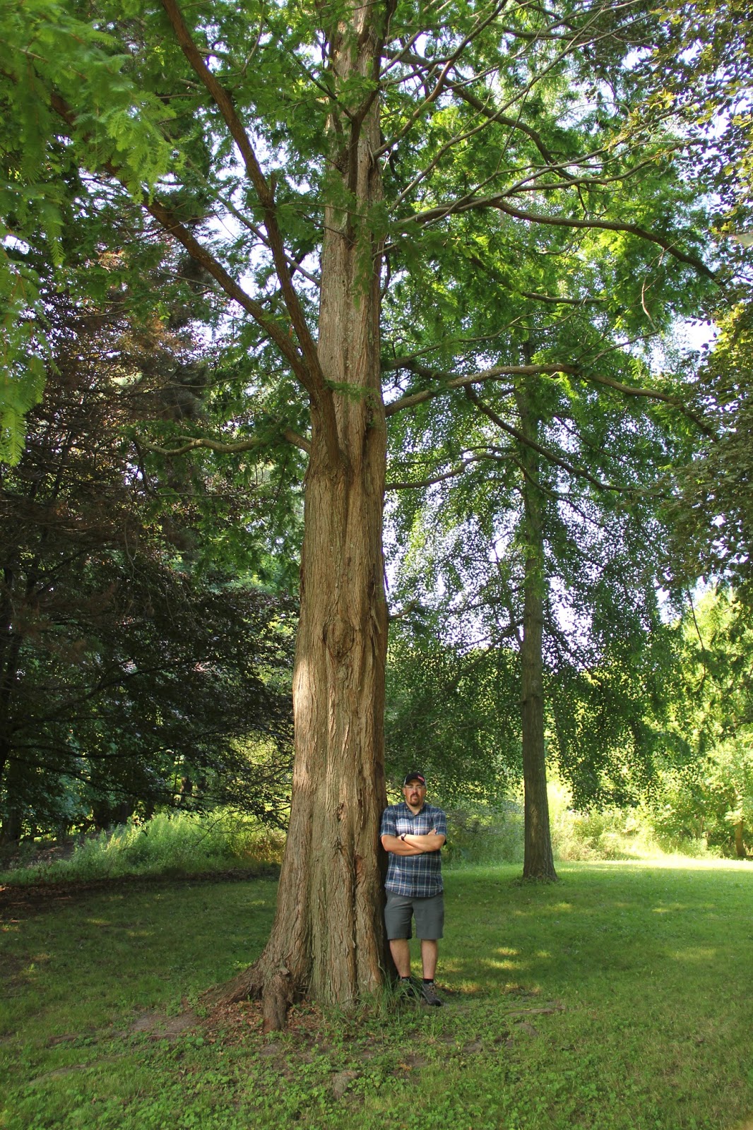 Isabella Conservation District Environmental Education Program: Field ...