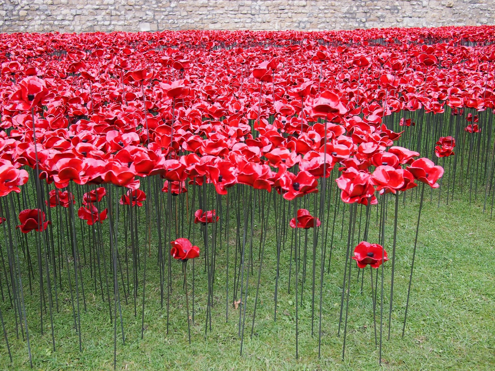 Living in London: Liberty - Flowers growing in London