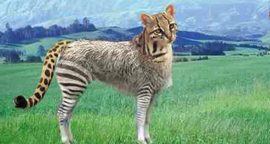 New Kids on the Blog: "Strange animal" by Adrián