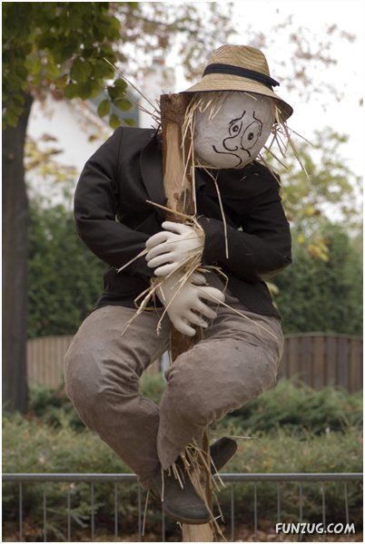 Creative scarecrow for your fields | Animal Photo