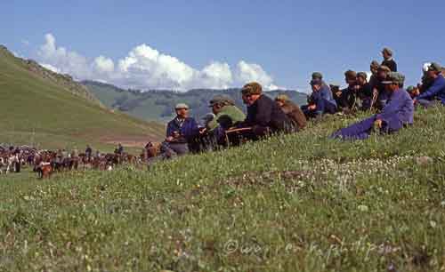 Retired--Now What?: China Rodeo Photo Addendum