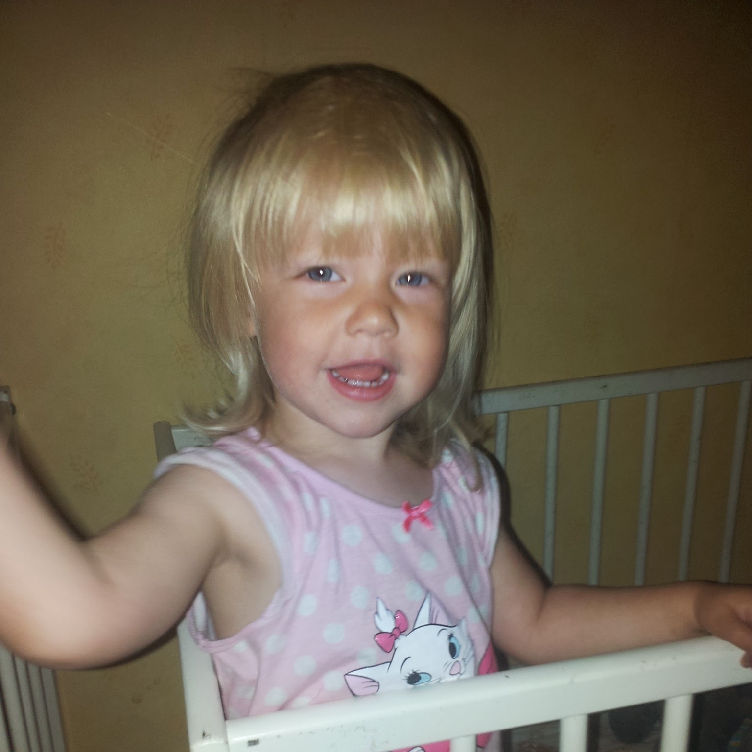 LiNdA: Hipp Hipp Hurra