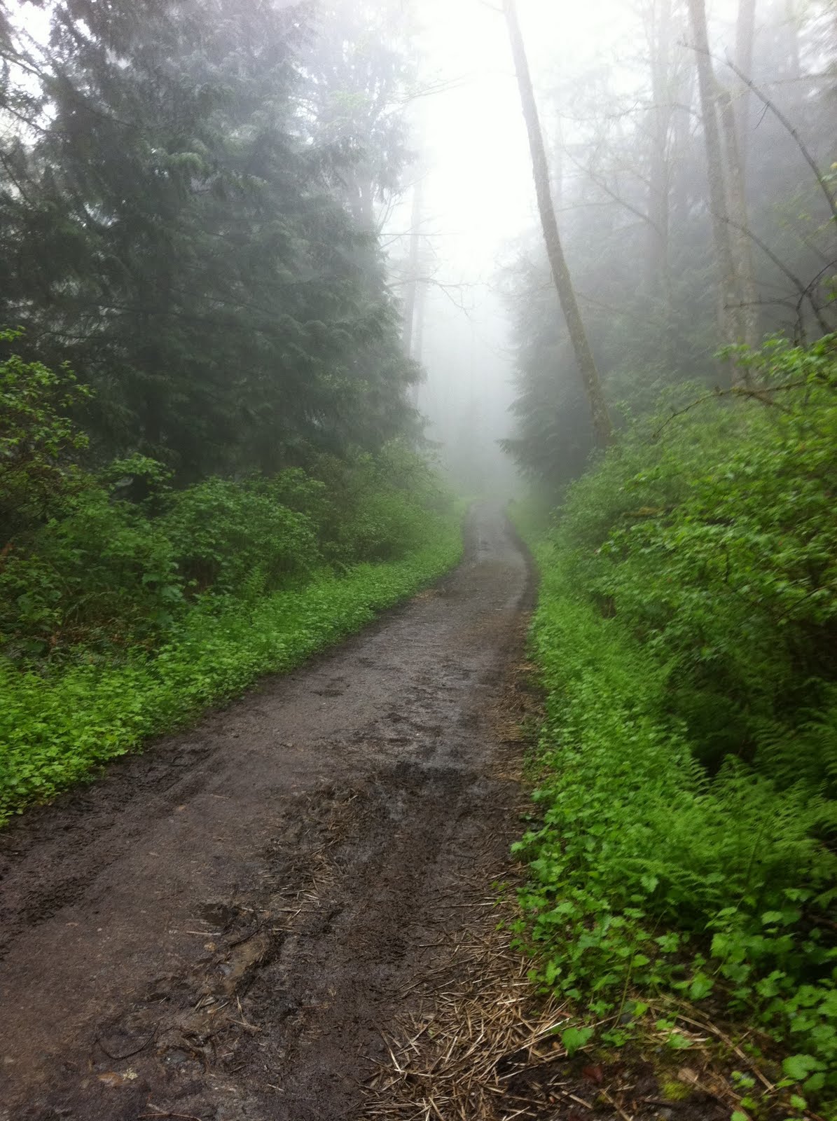 The Aerwulf: Raptor Ridge Trail Build Day