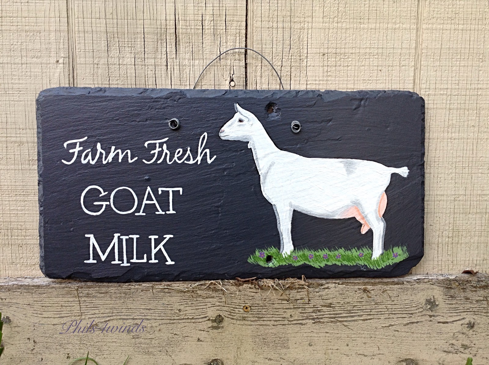 Phils4winds; paintings on Wood and Slate : Welcome Slate Signs, pygmy ...