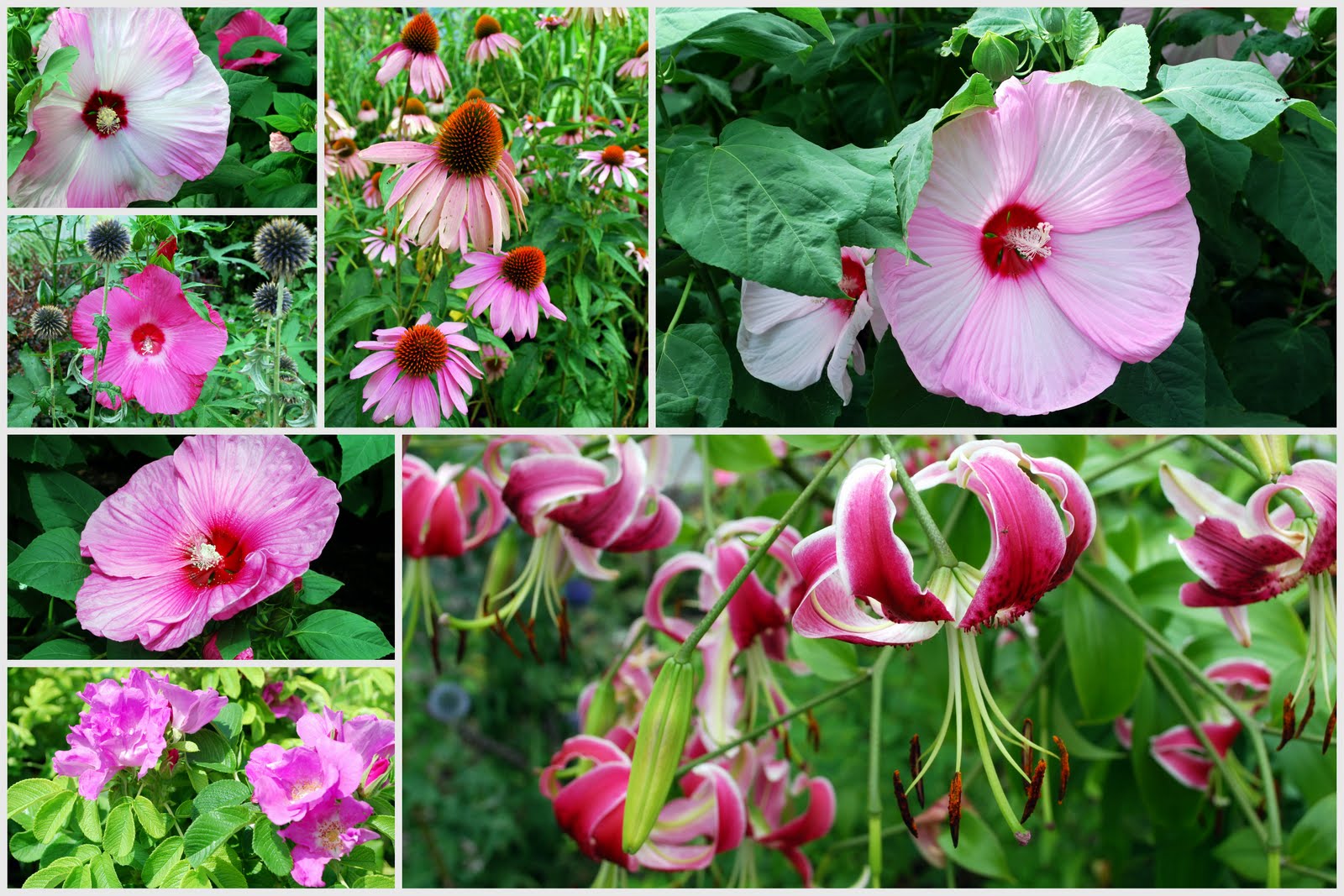 Mille Fiori Favoriti: Happy Third Birthday to Pink Saturday