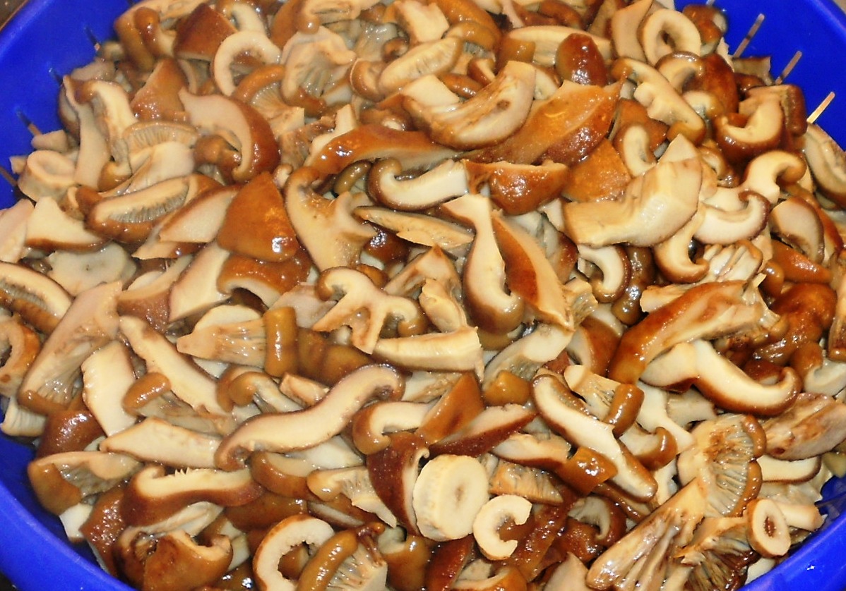 Poti ja panniga (üllatus, üllatus) KÖÖGIS!!!: Sest seenest saab suppi ...