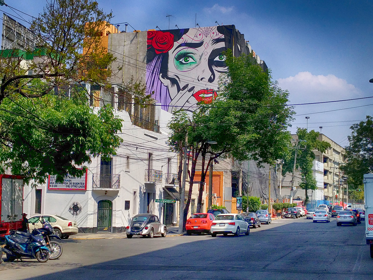 Woodland Shoppers Paradise: Mexico City Street Art (2018)