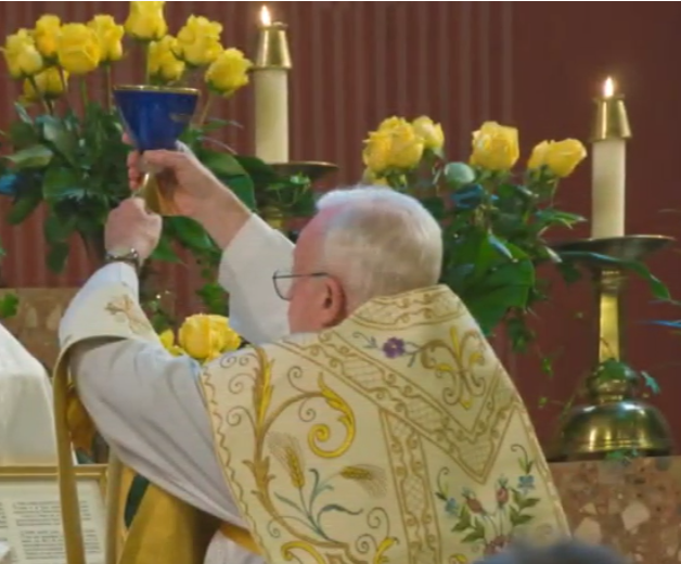 TORONTO CATHOLIC WITNESS: Ad Multos Annos, Fr. Robinson of the Toronto ...