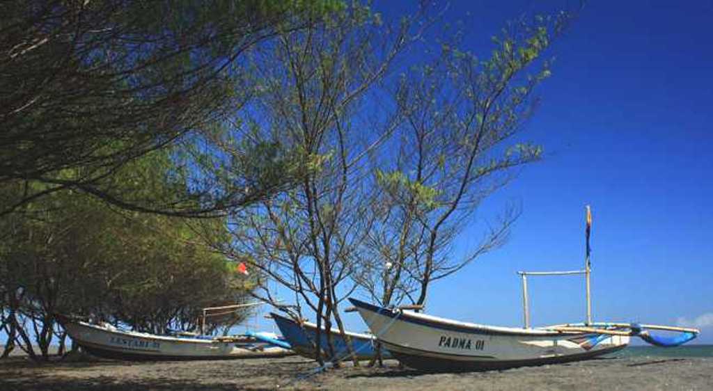 Buletin Wisata: Pantai Pandansimo - Bantul