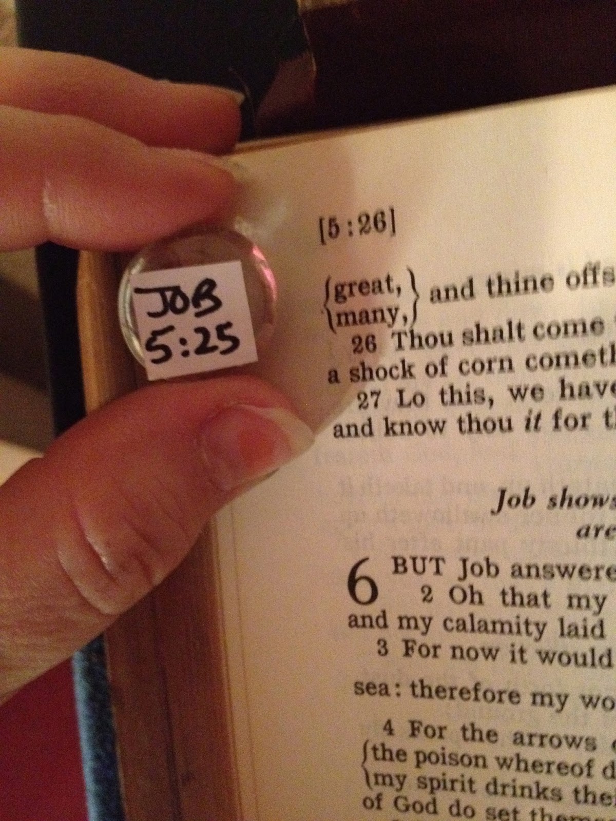 A Devotional Mosaic: What is a Precept?