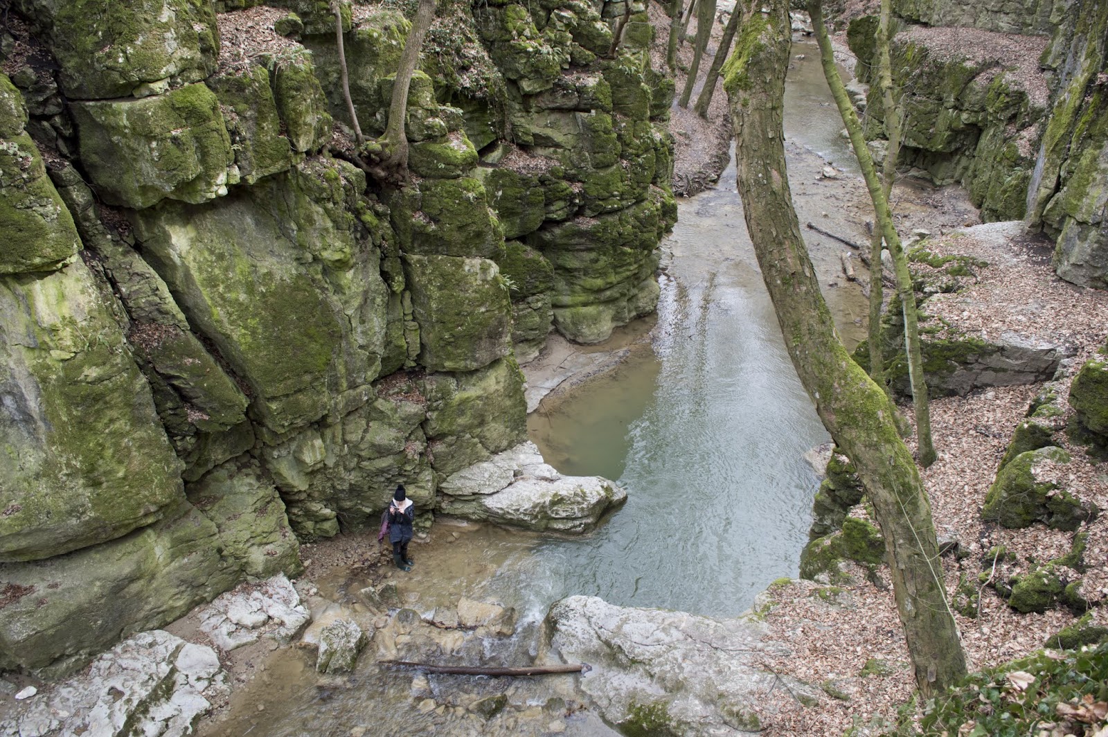 Történetek képekkel: Gumicsizmával a Gaja-patak mentén