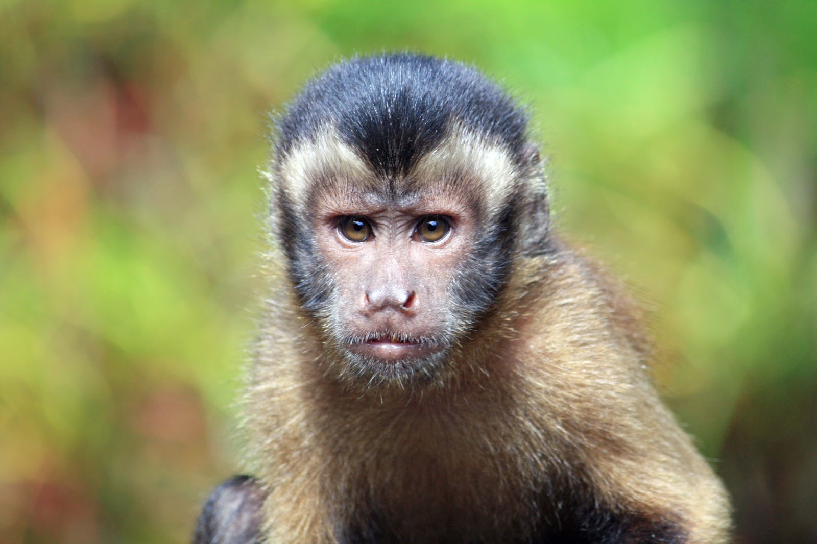 Emily Grace: Iles du Salut, French Guiana