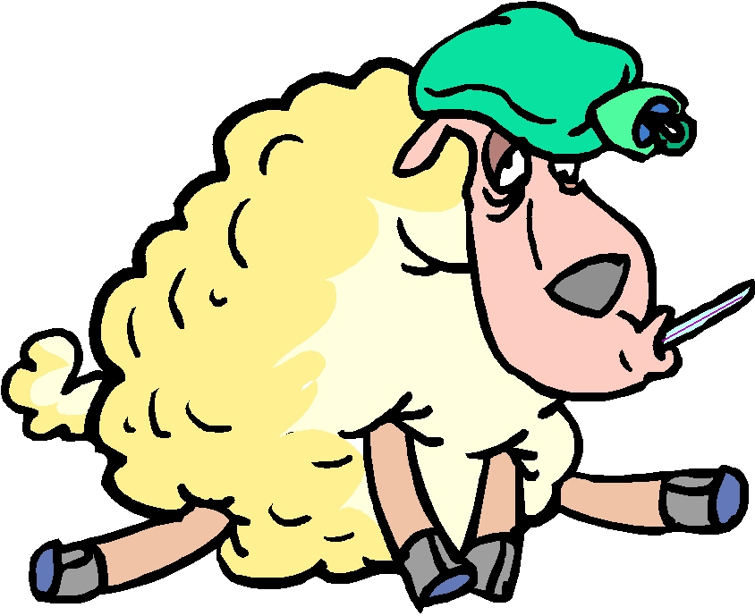 Toeing (tripping over) the Line | Equine Epiphanies