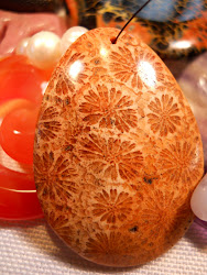 50Rock: West Virginia - FOSSIL CORAL (LITHOSTROTIONELLA)