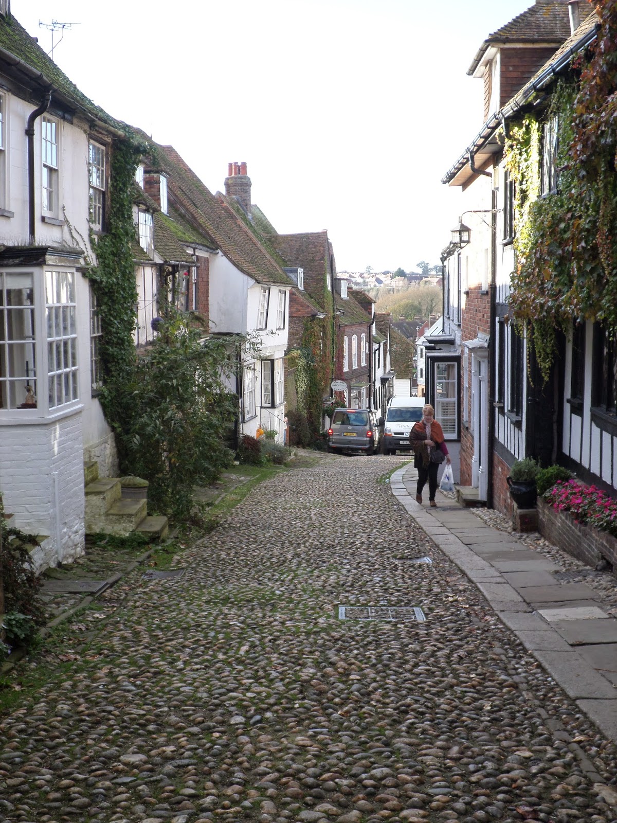 Teach, Learn, Grow...Together We Can!: Town of Rye and Bodiam Castle