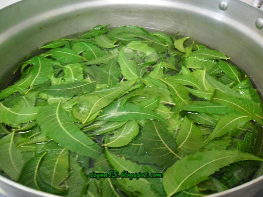 deyna83: Daun Semambu Dan Kelebihannya