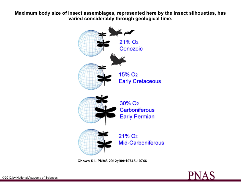 Experimental Evolution, Ecology and Behaviour (EXEB): On the evolution ...
